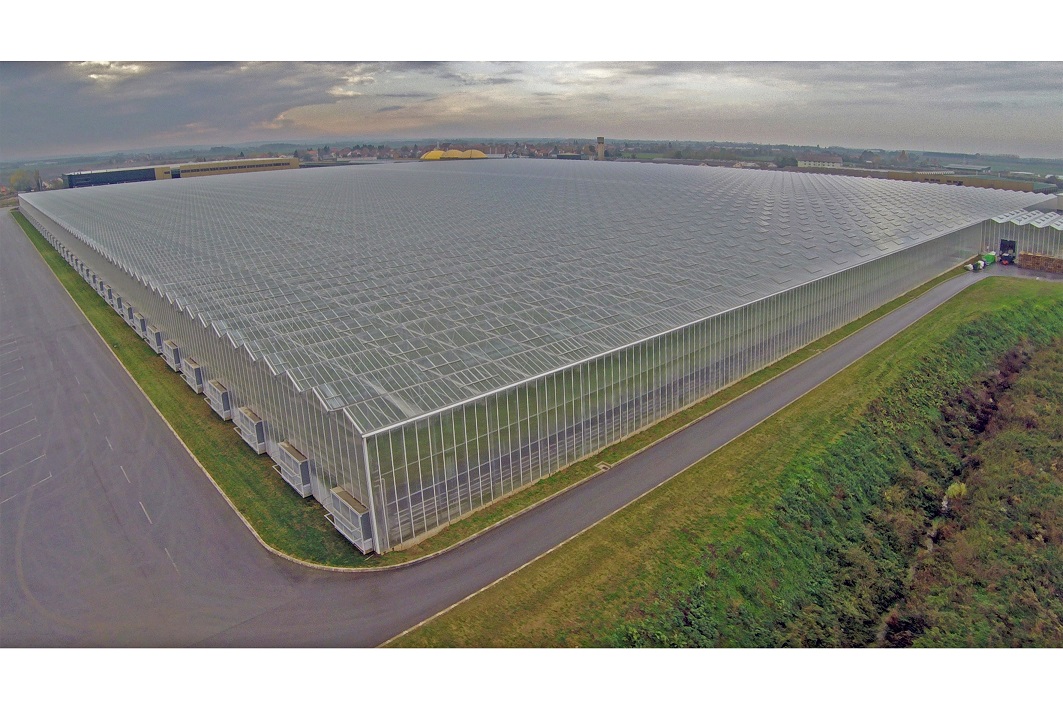 Staklenici – OSATINA d.o.o.